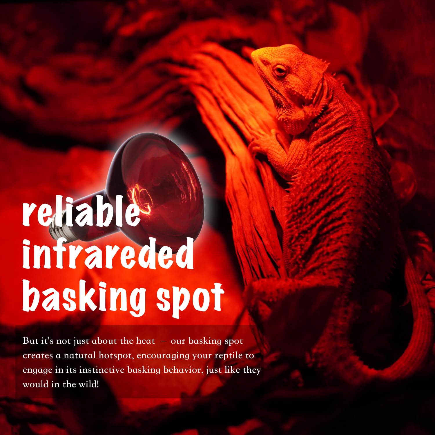 ReptiKing Red Basking Bulb for Reptiles, 2 Pack 100W Upgraded Infrared Basking Spot, Reptile Night Heating Bulb Light, Red Heat Lamp Bulb for Bearded Dragon Turtle Chicken
