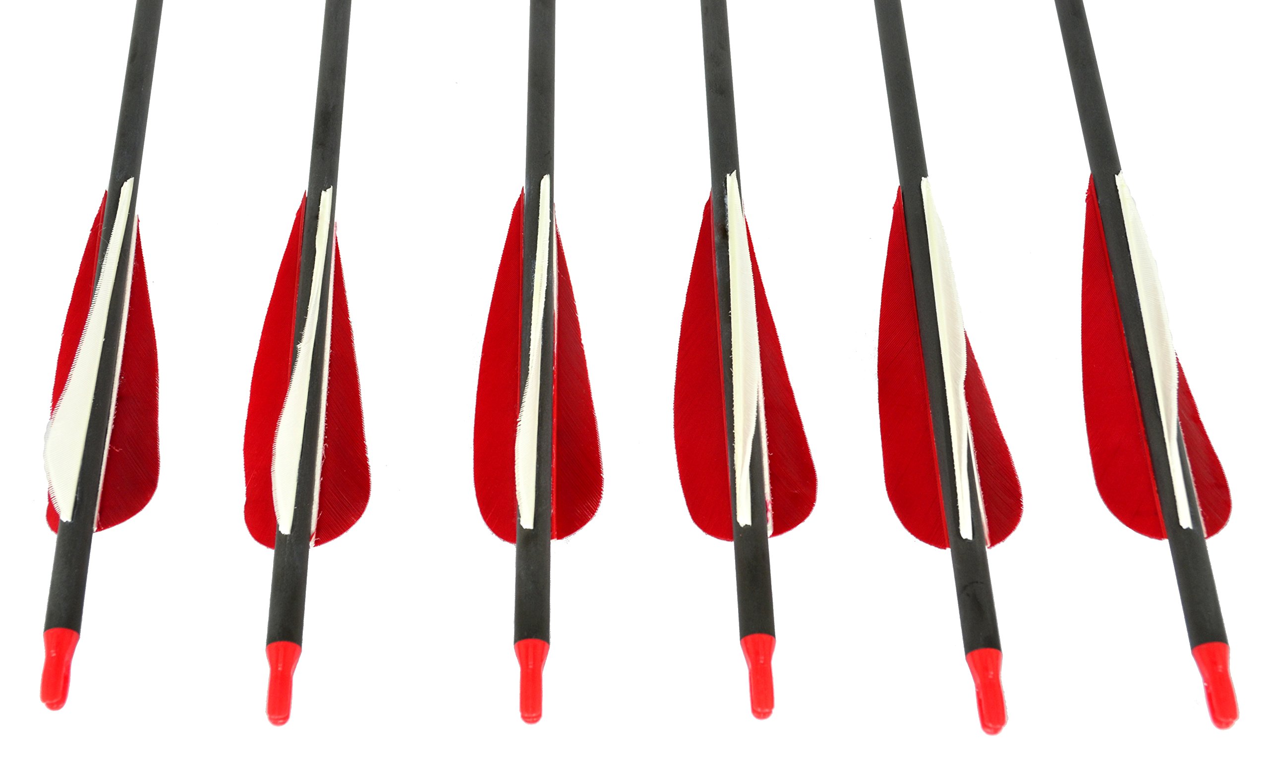 Southwest Archery Sage Premium Recurve Carbon Arrows 31.5" - 35-45lb - 6 Pack- Blue