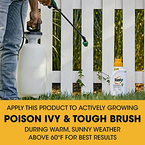 Roundup Concentrate Poison Ivy Plus Tough Brush Killer, 32 oz. (2-Pack)