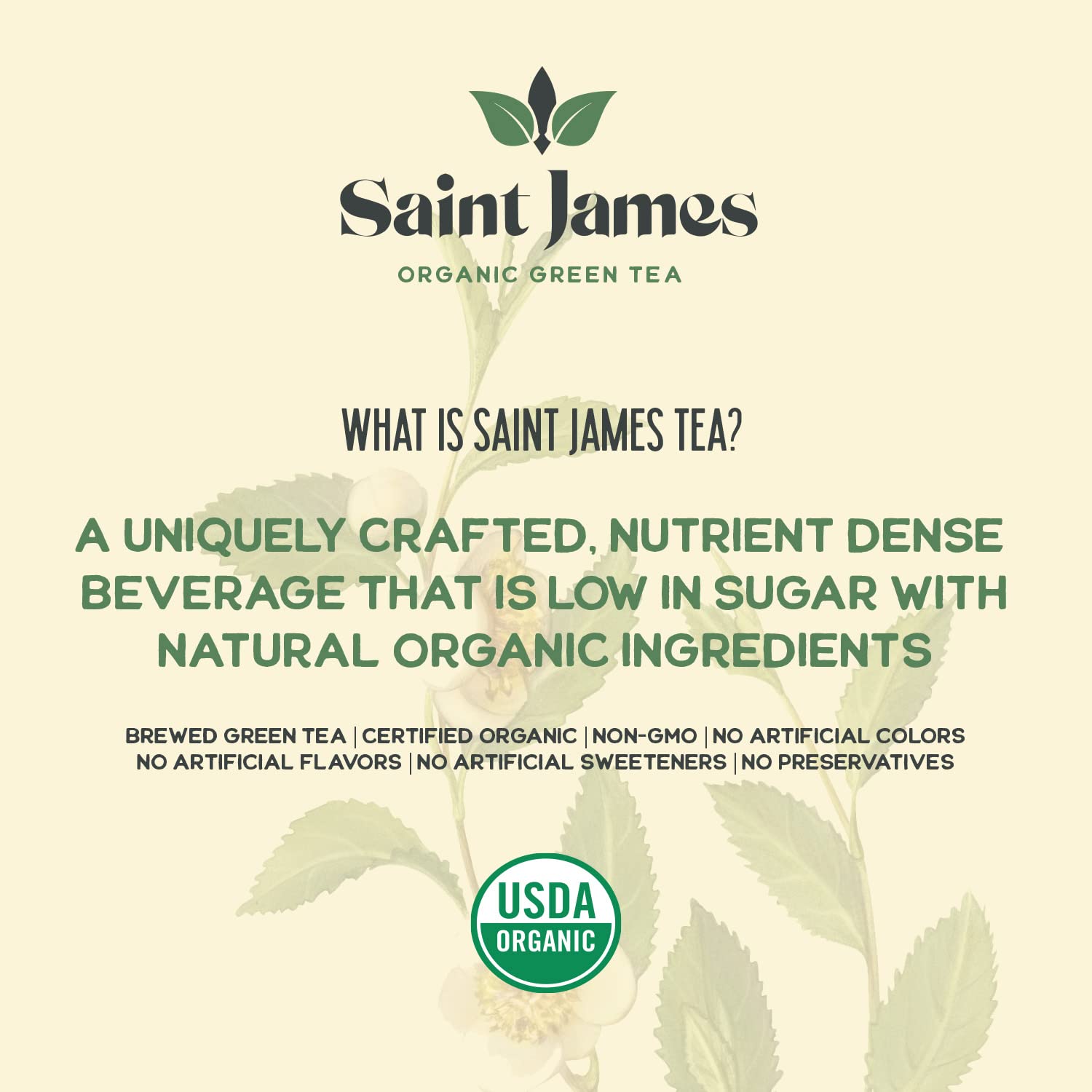 Saint James Iced Tea | Organic Green Tea | Organic, Non-GMO Green Tea, 12 Pack (16.9oz each) (Variety)