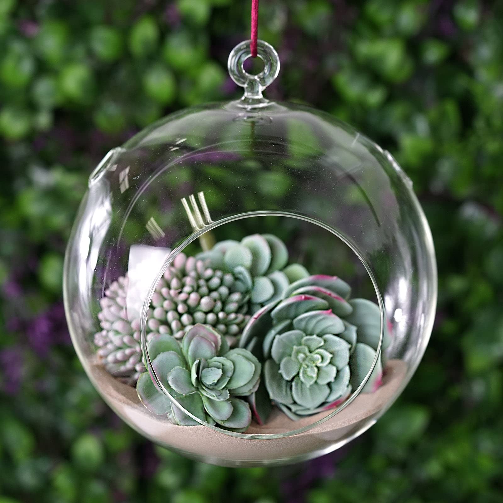 TABLECLOTHSFACTORY 4 pcs 8" Diameter Gigantic Globe Glass Terrarium/Decorative Clear Glass Globe