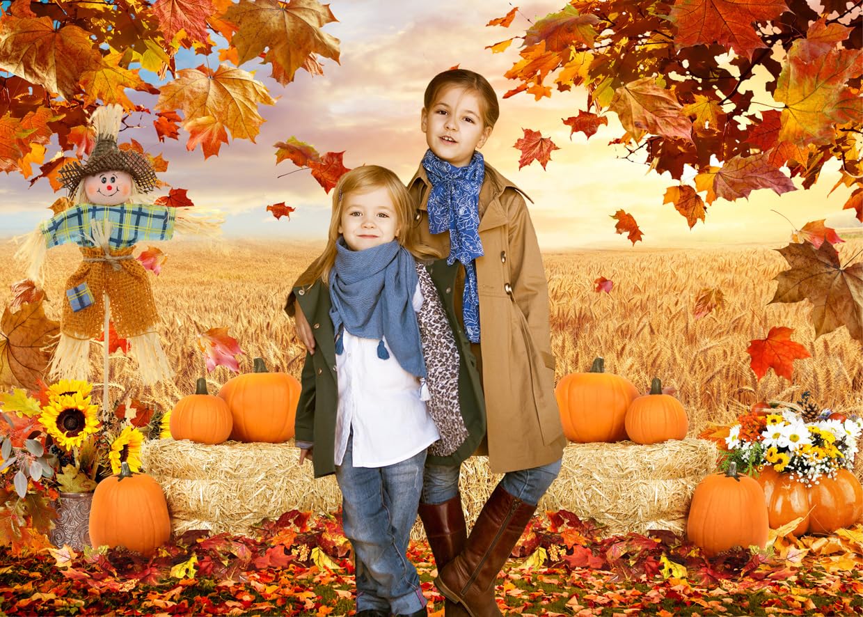 WOLADA 7x5FT Fall Backdrop Autumn Farm Harvest Backdrop Wheat Field Backdrop Thanksgiving Backdrop Farm Scene Backdrop Thanksgiving Photo Backdrop Thanksgiving Backdrops for Photography 12608