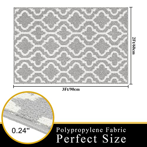 Vaukki Indoor Doormat Runner Rug, Indoor Door Mat, Washable Modern Kitchen Mat, Non Slip Entryway Rug, Entrance Mat for Hallway, Bedroom, Kitchen and Laundry Room (2'x3', Grey)