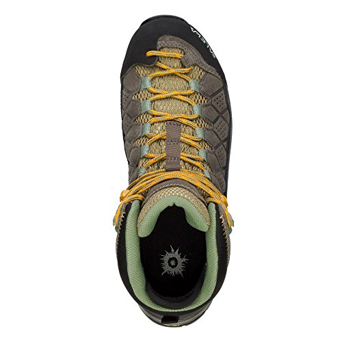 Salewa womens WS Alp Trainer Mid Gore-TEX High Rise Hiking Shoes, Black (Black Out/Agata), 10 US