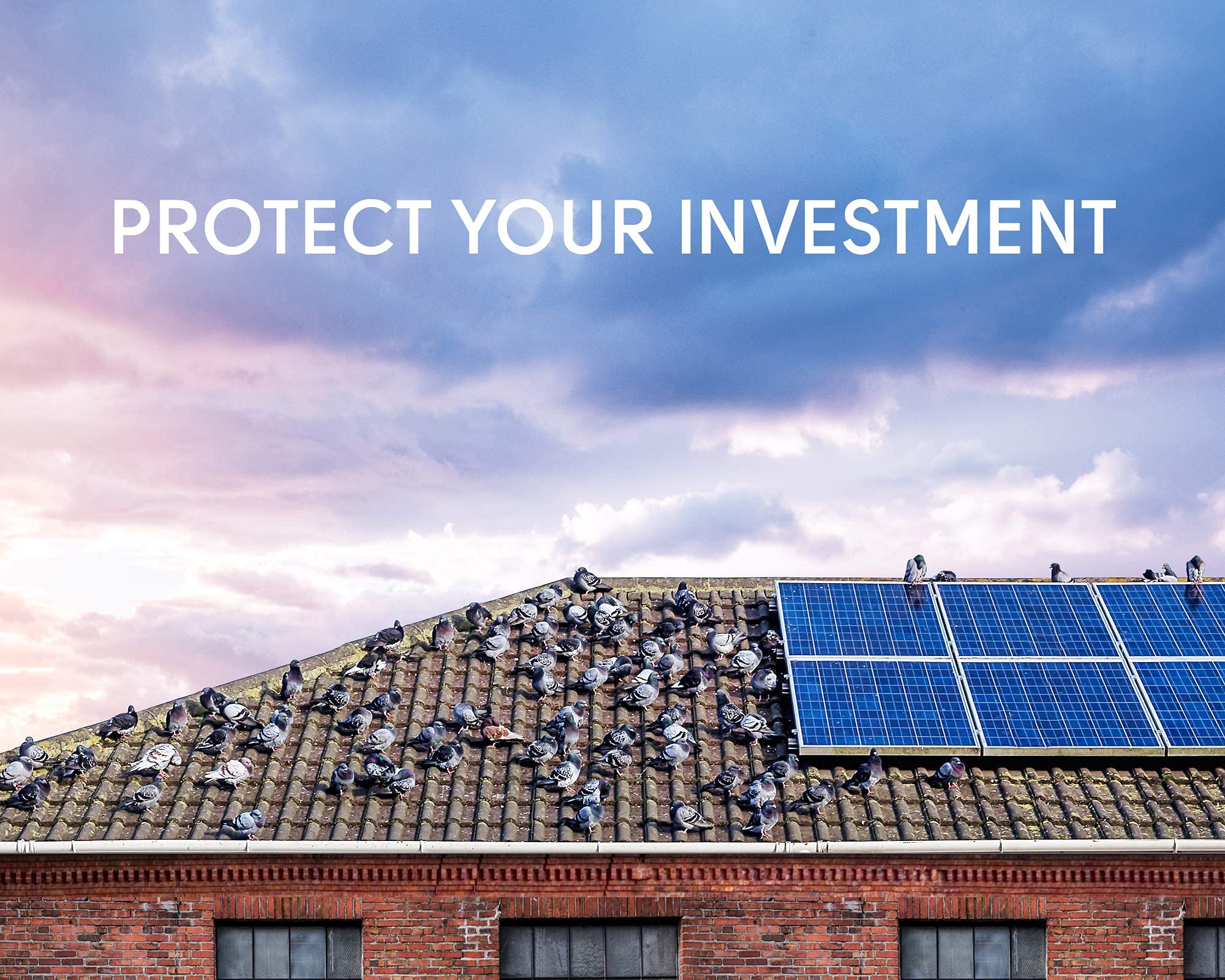 wolltex 8in X 100ft Solar Panel Bird/Solar Panel Pigeon Protection Kit | Solar Panel Guard.