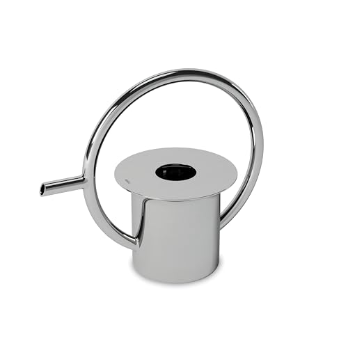 Umbra Quench Stainless Steel Watering Can, Pot for Outdoor or Indoor Plants, Medium