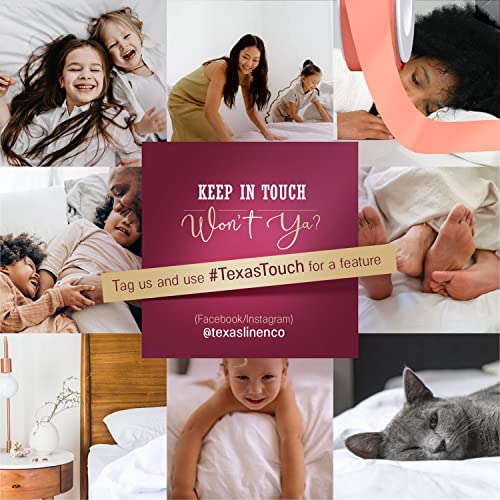 TEXAS LINEN CO. Egyptian Cotton Queen Sheet Set, 800 TC 4 PC Silver Grey Egyptian Cotton Sheets for Queen Size Bed, Extra Long Staple Cooling Sheets, Luxury Hotel Sheets, Deep Pocket Queen Sheets Set