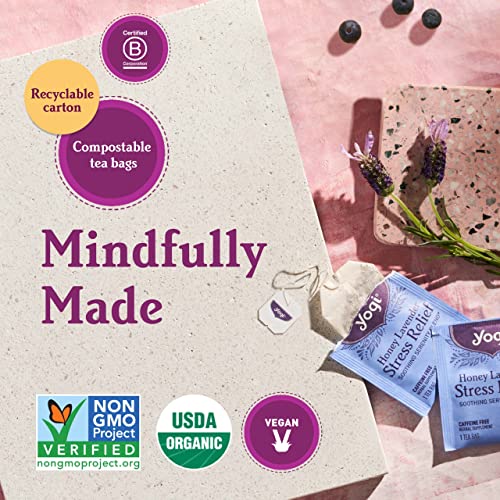 Yogi Tea - Echinacea Immune Support (6 Pack) - Supports Immune Function with Elderberry and Mullein - Caffeine Free - 96 Organic Herbal Tea Bags