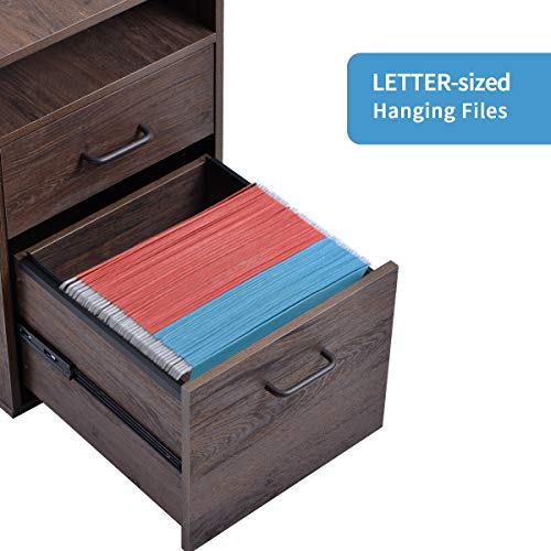 Vertical File Cabinet Wood Filing Storage Cabinet with 2 Drawers for Home Office -Walnut