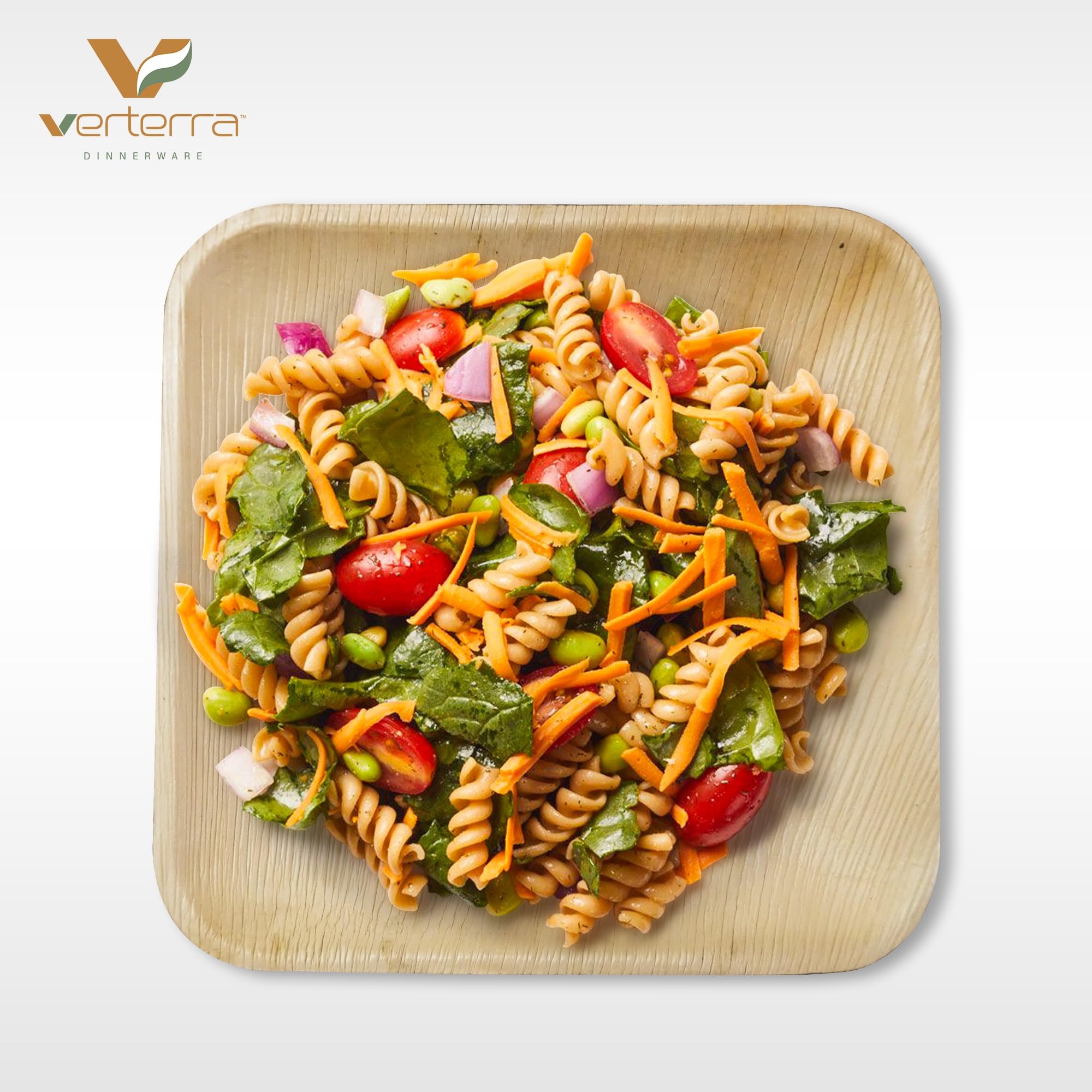 VerTerra Palm leaf plates - 10 inch square, 300 pack β Like Bamboo plates, Disposable and Eco-friendly dinnerware in bulk for Events, Parties, Weddings