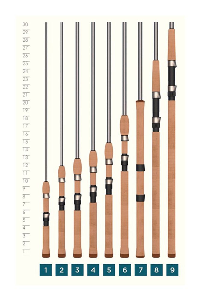St. Croix Rods Avid Series Spinning Rod, Carbon Pearl, 7β0" - Feet