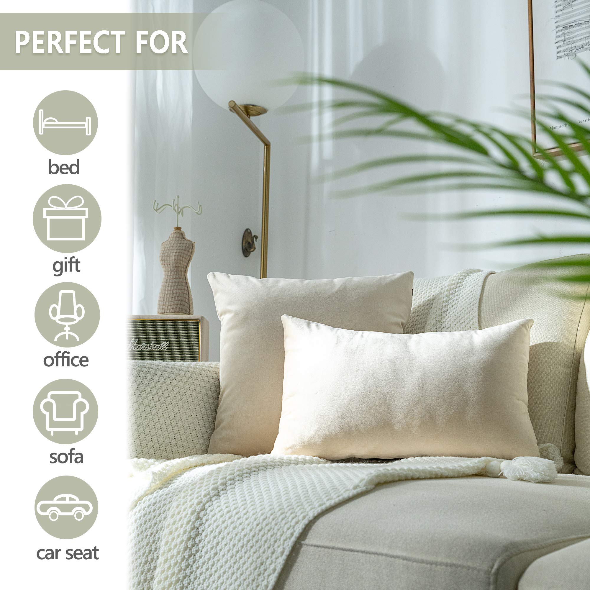 Stellhome Pack of 2 Super Soft Throw Pillow Covers Rectangle Solid Velvet Pillowcase for Bed Couch Sofa Bench, 12 x 20 inch (30 x 50 cm), Beige