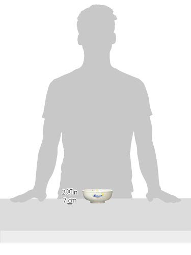 金正陶器(Kaneshotouki) Pokémon 142325 Ramen Bowl, Made in Japan