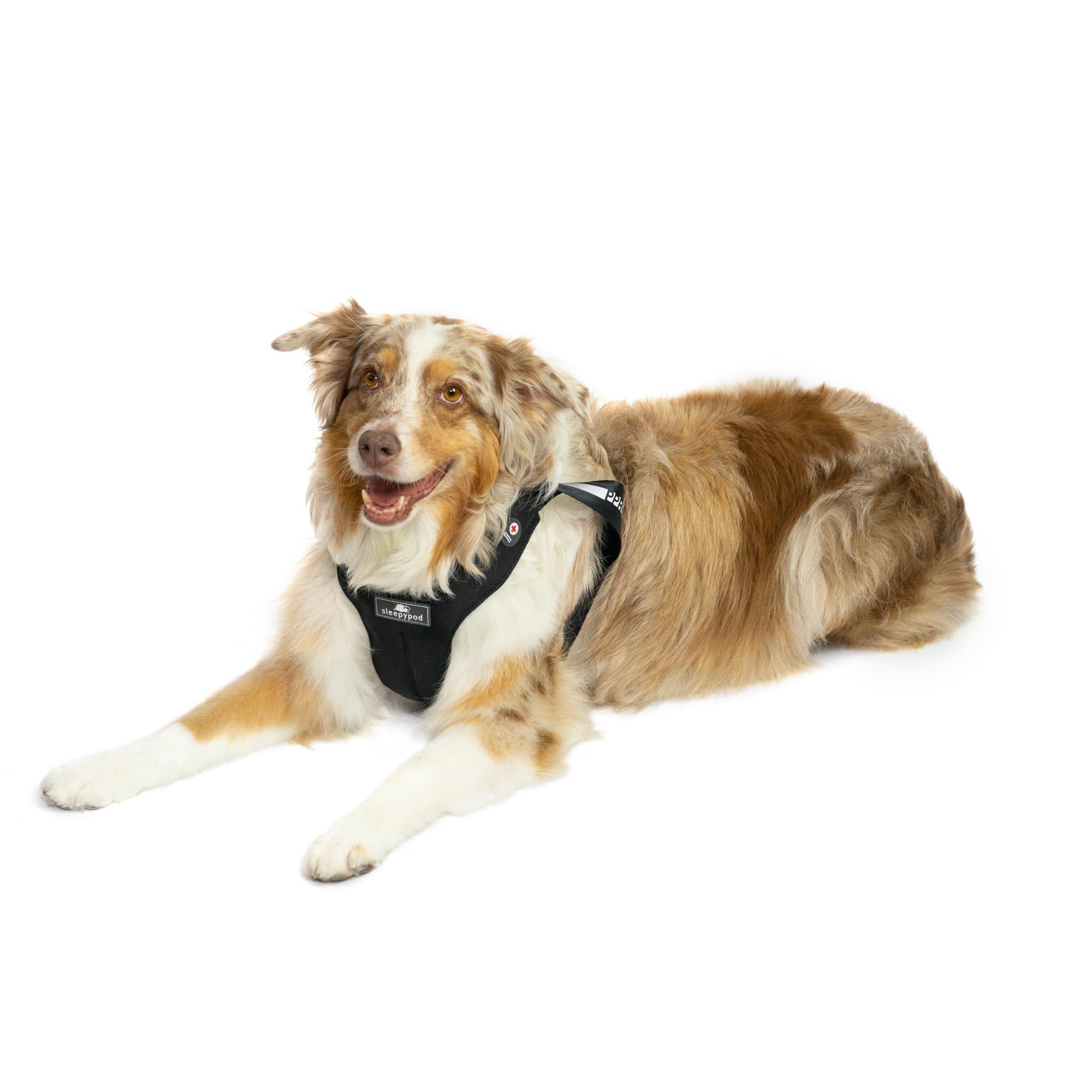 Sleepypod Clickit Sport - American Red Cross Edition Seat Belt Harness for Dogs (Jet Black, S)