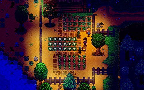 Stardew Valley: Collector's Edition - Xbox One