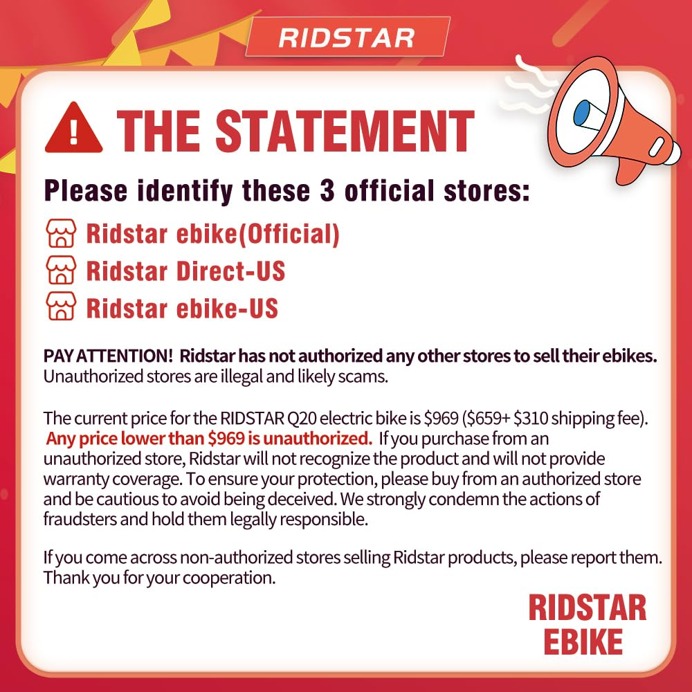 Ridstar 1000W 30MPH Fat Tire Electric Motorcycle with Removable 48V20Ah Battery and Full Suspension