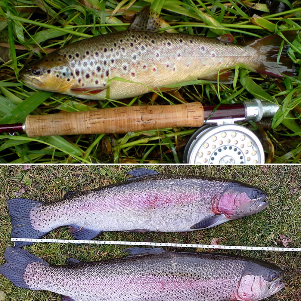 YZD Realistic Fly Fishing Dry Wet Nymph Trout Flies Topwater Lures for Freshwater Saltwater High Simulation Hand Tie Lure Kits 8 pcs
