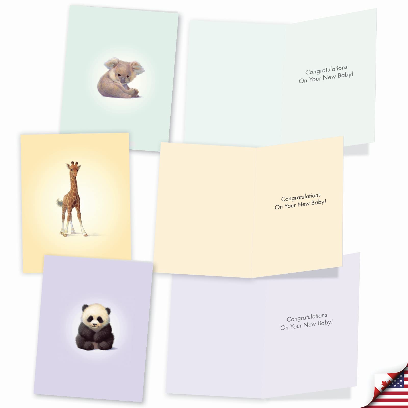 The Best Card Company 20 Assorted Baby Notecards Box Set 4 x 5.12 Inch with Envelopes (10 Designs, 2 Each) Zoo Babies AM6726BBG-B2x10