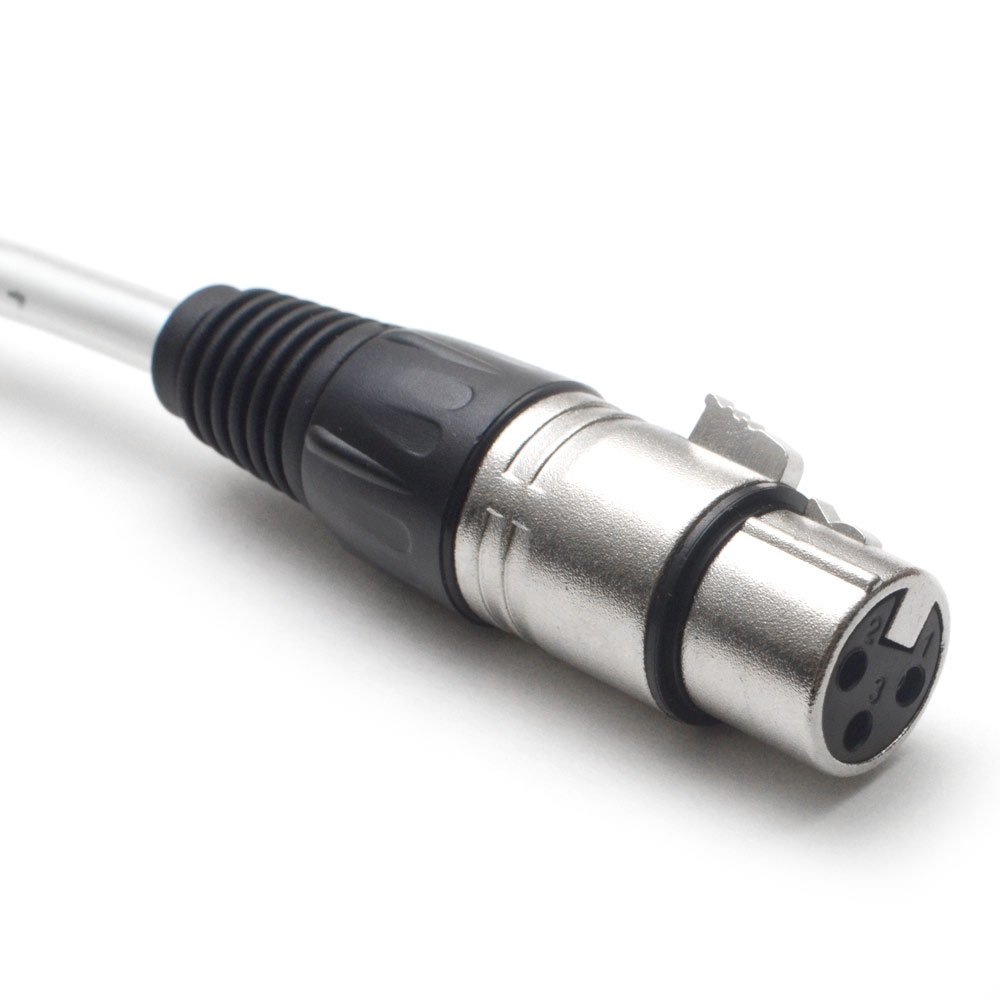 Seismic Audio - SARLX-8x100 - 8 Channel XLR Snake Cable - 100 Feet Long - Pro Audio Snake for Live Live, Recording, Studios, and Gigs - Patch, Amp, Mixer, Audio Interface 100'