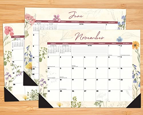 Willow Creek Press Botanical Garden Monthly 2024 Deskpad Calendar (22" x 17")