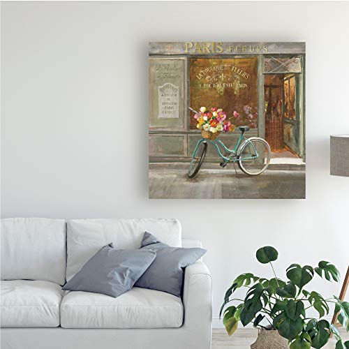 Trademark Fine Art, 24x24 French Flower Shop v2 by Danhui NAI