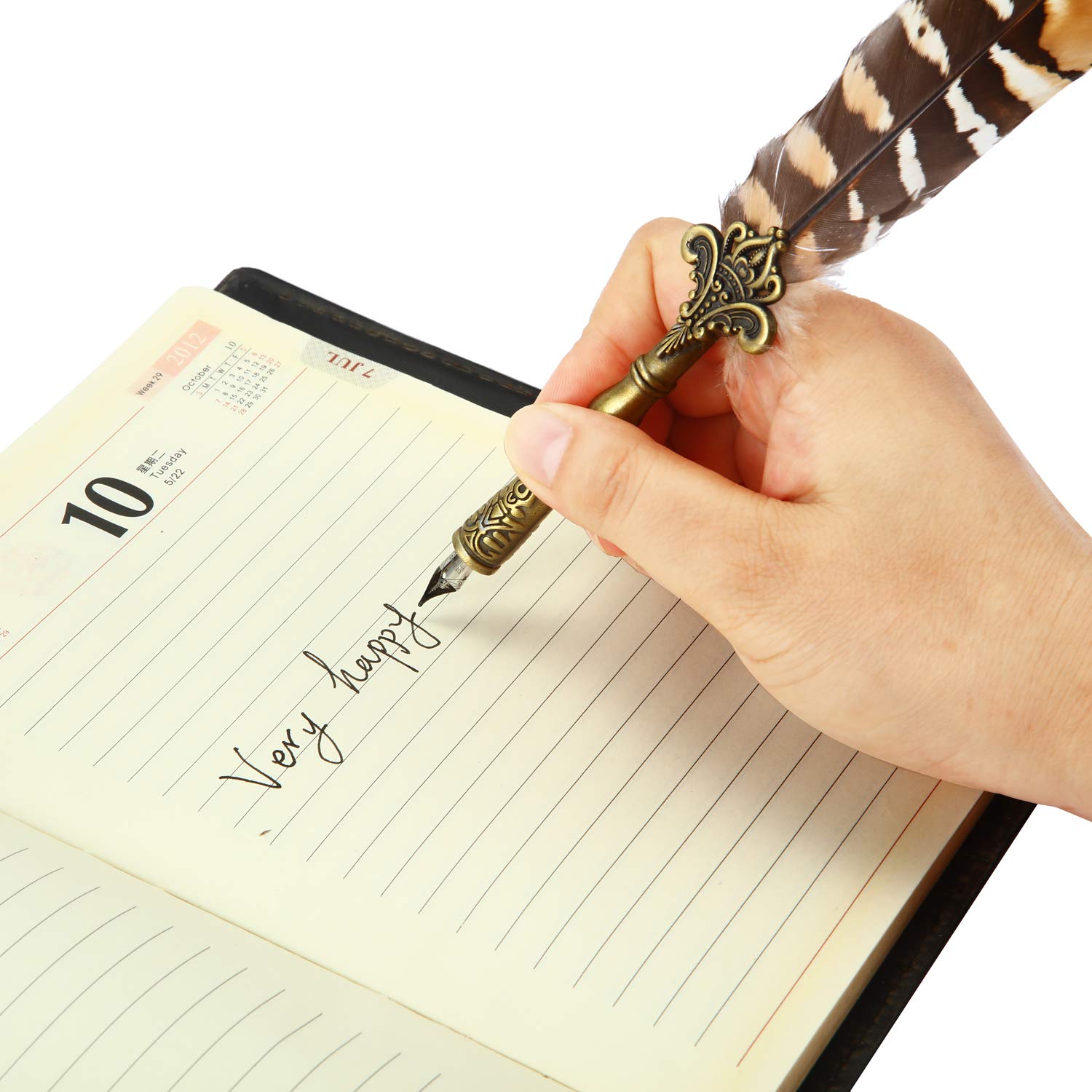 Vintage Feather Pens Calligraphy Set Quill Ink Pen Natural Handcrafted Dip Pen with11pcs Extra Pen Metal Nibs Writing Pen Gift Set