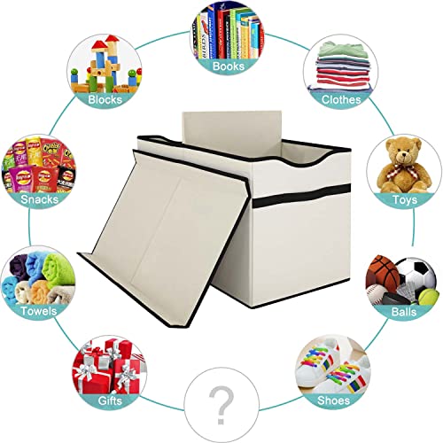 VICTOR'S Toy Box BEIGE2+DARK-GREY