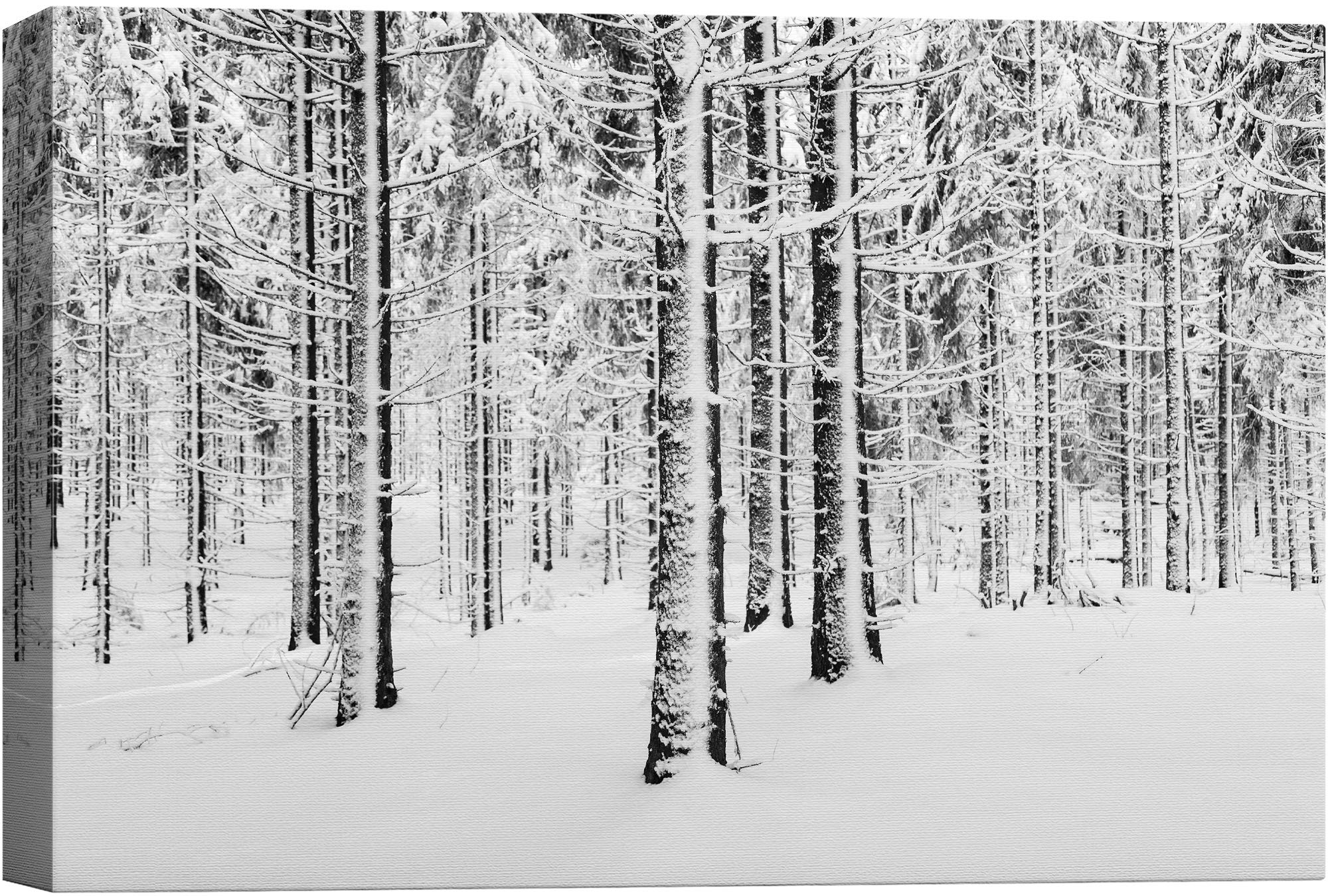 SIGNWIN Canvas Wall Art Winter Snow Covered Birch Trees on The Hillside Nature Forest Modern Art Traditional Scenic Dramatic Black and White for Living Room, Bedroom, Office - 16x24 inches