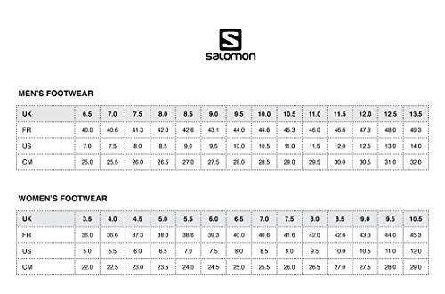 Salomon X Ultra 3 Gore-TEX Hiking Shoes for Men, Castor Gray/Beluga/Green Sulphur, 10.5