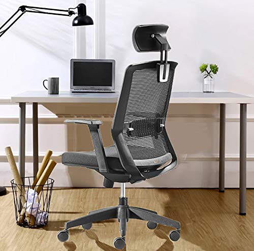 YuanKanJu Ergonomic Office Chair, Home High Back Desk Chair,Adjustable Headrest Backrest and Armrest's Mesh Office Chair with Lumbar Support and Rolling Wheels
