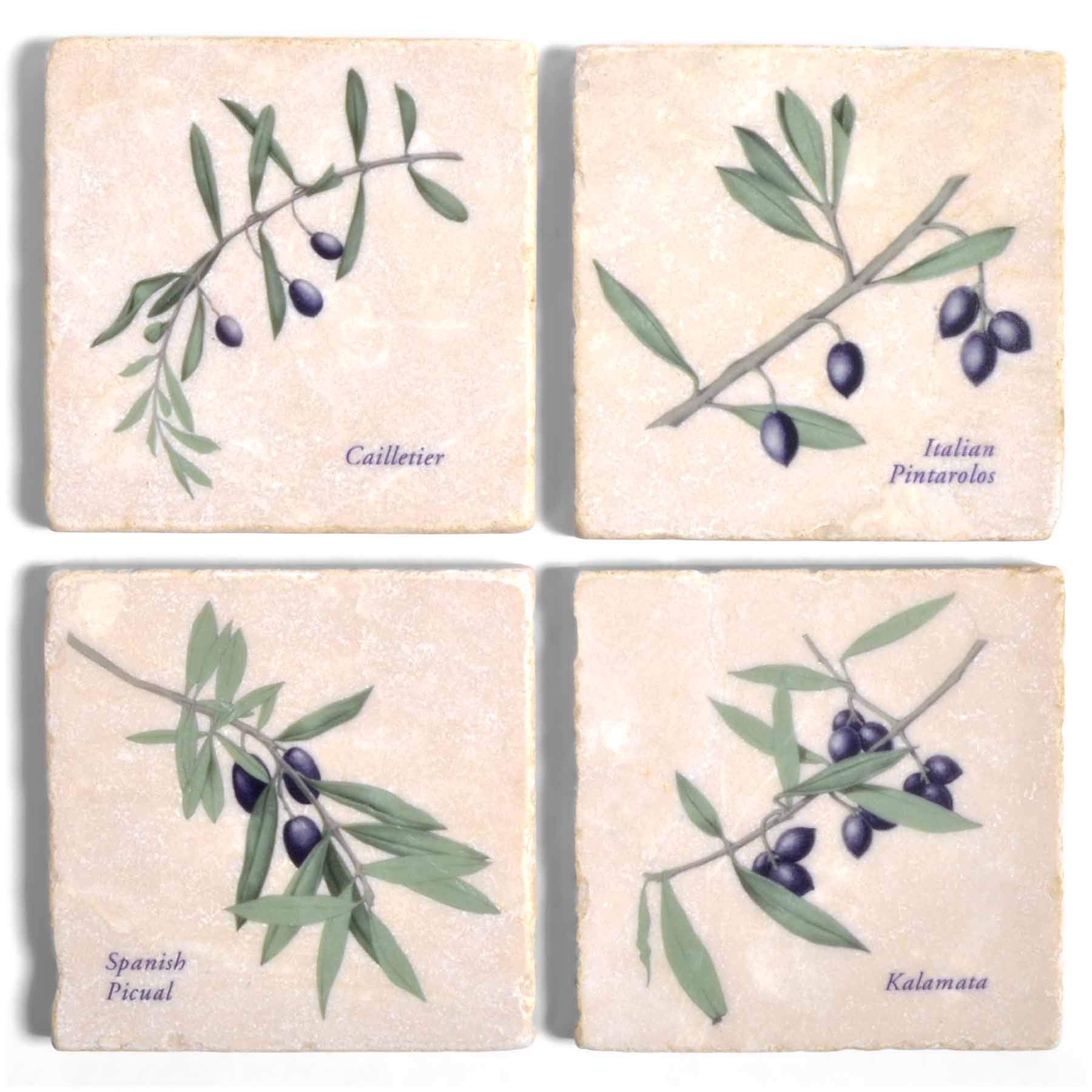 Studio Vertu Olives Tumbled Marble Coasters, Set of 4