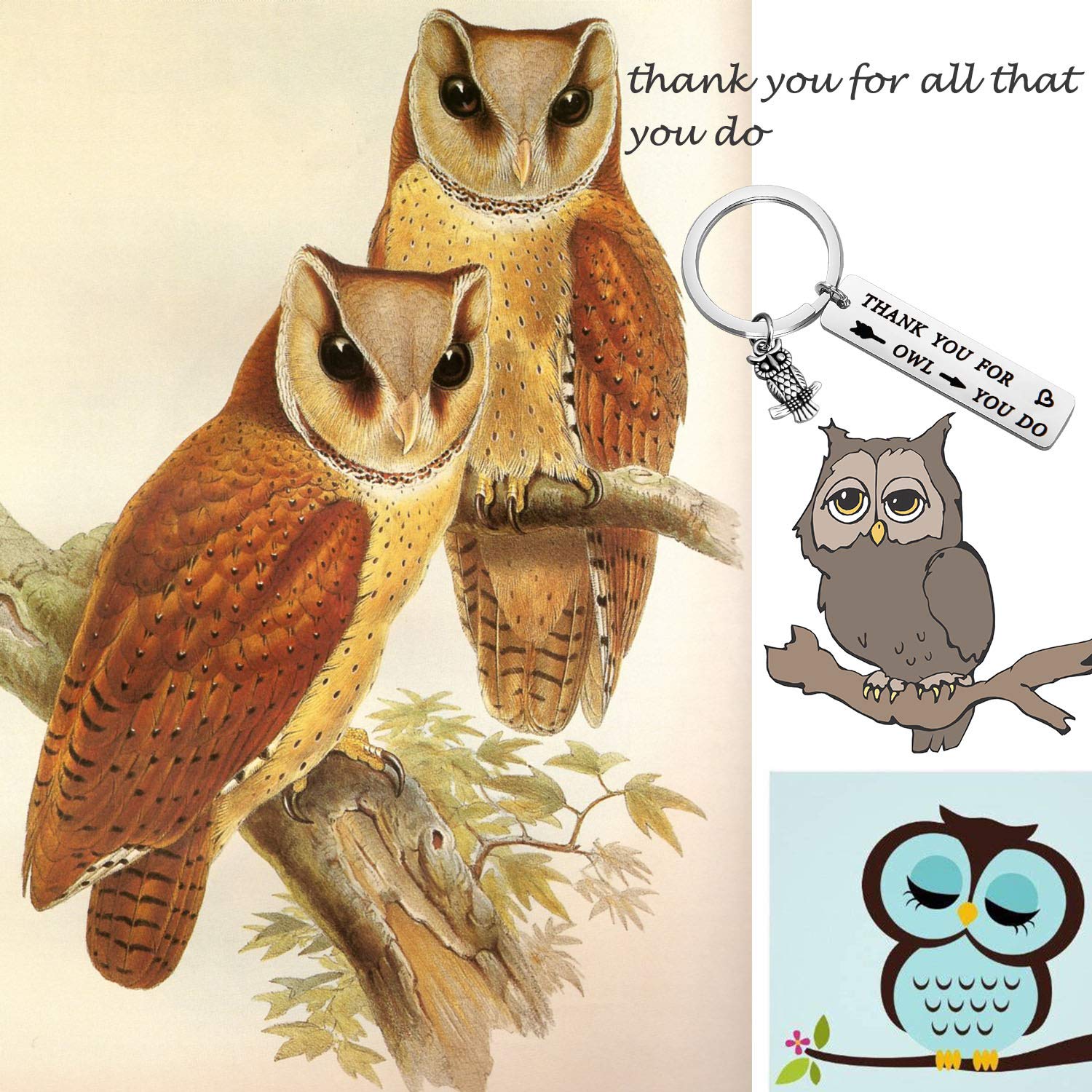 TIIMG Thank you for owl you do (Thank you for owl you do)