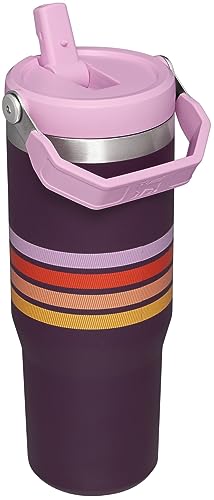 Stanley IceFlow Stainless Steel Tumbler - Vacuum Insulated Water Bottle for Home, Office or Car Reusable Cup with Straw Leak Resistant Flip Cold for 12 Hours or Iced for 2 Days, Plum Stripe, 30OZ