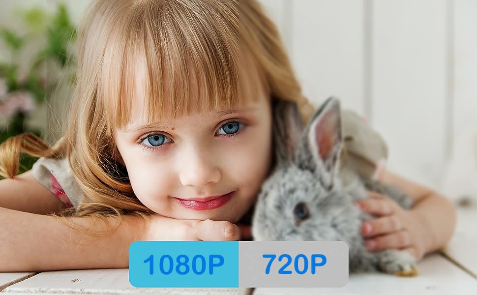 Wireless WIFI Home Security Camera Body Indoor Outdoor Surveillance Room Camera 1080P HD With Night Vision, Motion Detection Phone Application built-in battery Cat dog camera for home security pet