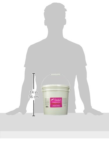 Rep-Cal SRP00210 Phosphorous-Free Calcium Ultrafine Powder Reptile/Amphibian Supplement with Vitamin D3, 7-Pound