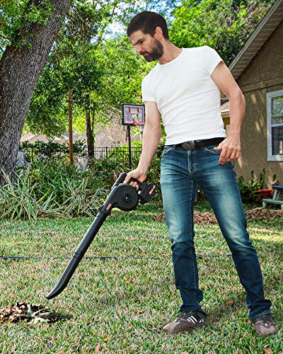 tooi tool 20V Max Cordless Leaf Blower, 2-in-1 Electric Sweeper/Vacuum, 2.0Ah Lithium Ion Battery and Charger Included