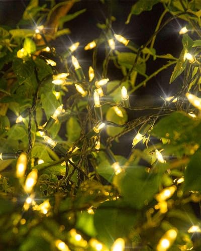 Twinkle Star 300 LED Christmas Mini String Lights, 99 ft Fairy Lights with Safe Adapter for Indoor Outdoor Home Garden Xmas Tree Party Decoration, Warm White