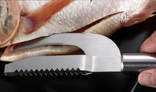 WOIWO 1PCS Stainless Steel Fish Belly Knife Multi-purpose Fish Knife Kitchen Fish Belly Knife Cleaning dirty Fish Scale Tool Fish Scale Planer