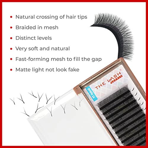 THE LASH SUPPLY YY Hybrid Eyelash Extension Professional Supplies, C/D Curl, 9-15mm Length, 0.07 Thickness, Matte Black Fake Eye Lashes, Soft and Lightweight Lashes Mixed Pack