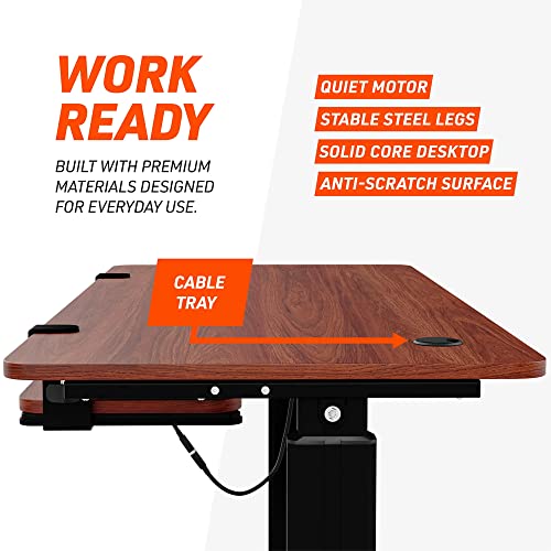 Truweo Adjustable Electric Standing Desk β 50 x 23.6 inches Sit to Stand Office Desk with Cable and Sliding Keyboard Tray β 3 Controlled Memory Height Settings β Anti-Scratch Surface β Brown