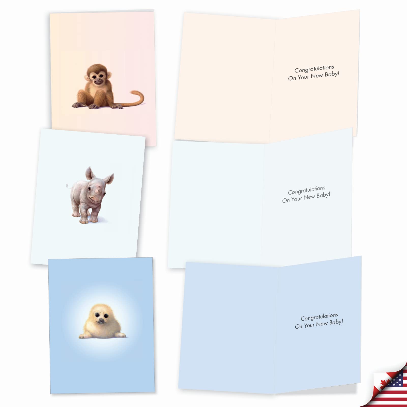 The Best Card Company 20 Assorted Baby Notecards Box Set 4 x 5.12 Inch with Envelopes (10 Designs, 2 Each) Zoo Babies AM6726BBG-B2x10