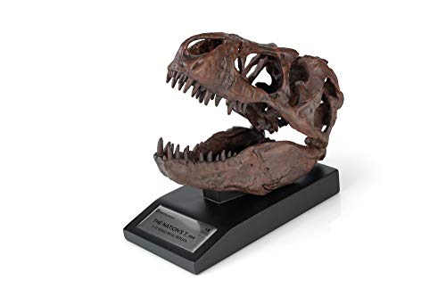 The Nation's T-Rex Skull Statue | Smithsonian Fossil Replica | 6-Inch Tall Tyrannosaurus Rex Desk Statue | 1:10 Scale