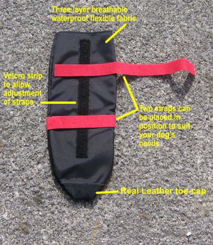 Pro-Active Paws Fully Waterproof Dog Boots Guaranteed to Keep Paws, dressings, Casts, splints Dry