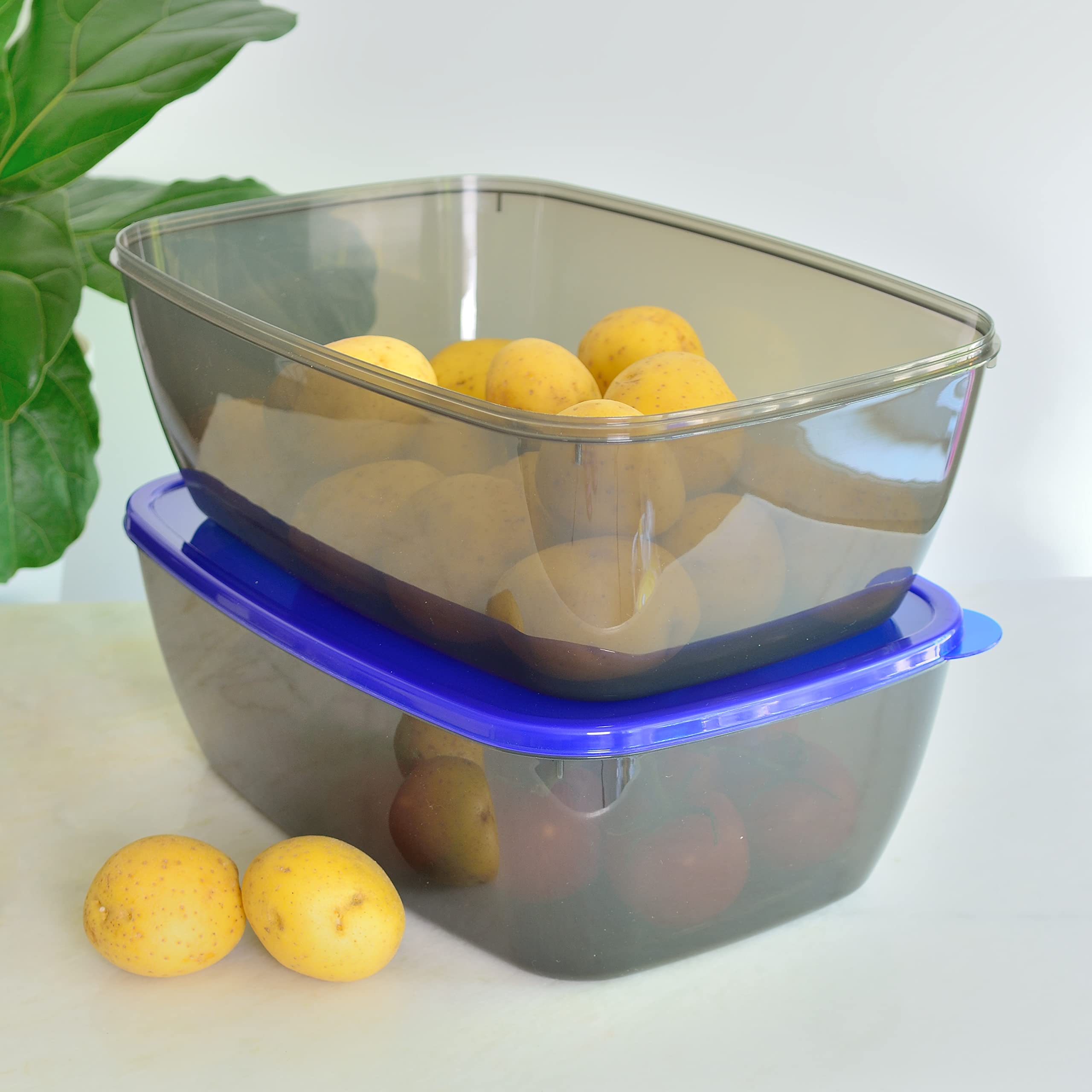 Youngever 2 Pack 2.5 Gallon Large Food Storage Container Boxes, Large Food Storage, Reusable Plastic Large Meal Prep Containers