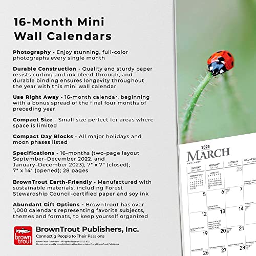 Simplicity | 2023 7 x 14 Inch Monthly Mini Wall Calendar | BrownTrout | Colorful Photography Inspiration Quotes