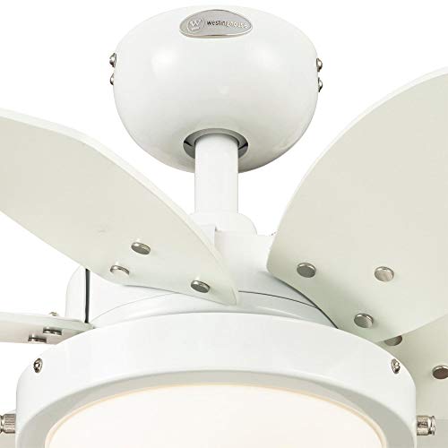 Westinghouse Lighting 7224700 Quince Indoor Ceiling Fan with Light, 24 Inch, White (Renewed)