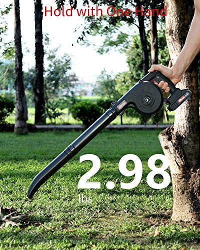 tooi tool 20V Max Cordless Leaf Blower, 2-in-1 Electric Sweeper/Vacuum, 2.0Ah Lithium Ion Battery and Charger Included