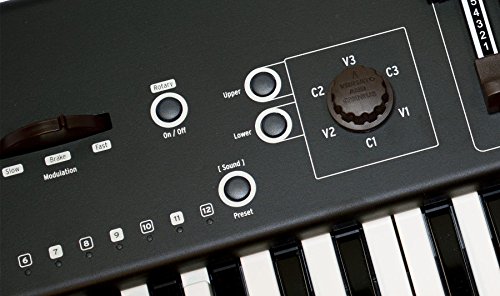 Studiologic Numa Organ 73-Key Integrated Digital Organ with Reversed Octave Midi Controller