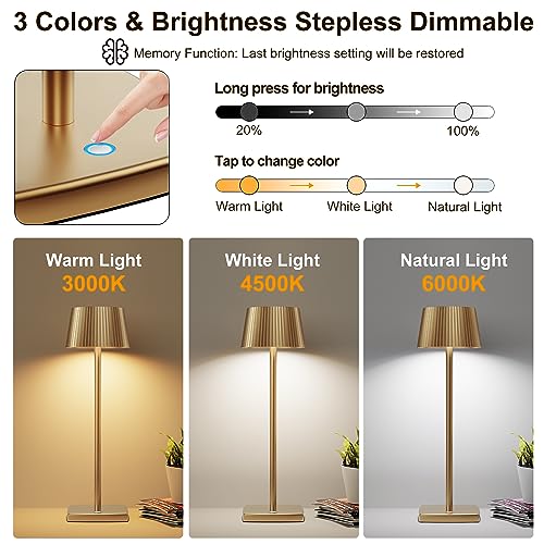 YHT LED Cordless Table Lamps Rechargeable Battery Operated Outdoor Waterproof Light 6000mAh 3 Level Brightness Dimmable Portable Desk Lamp Touch Control for Outdoor Patio Home Restaurant Bar Bronze
