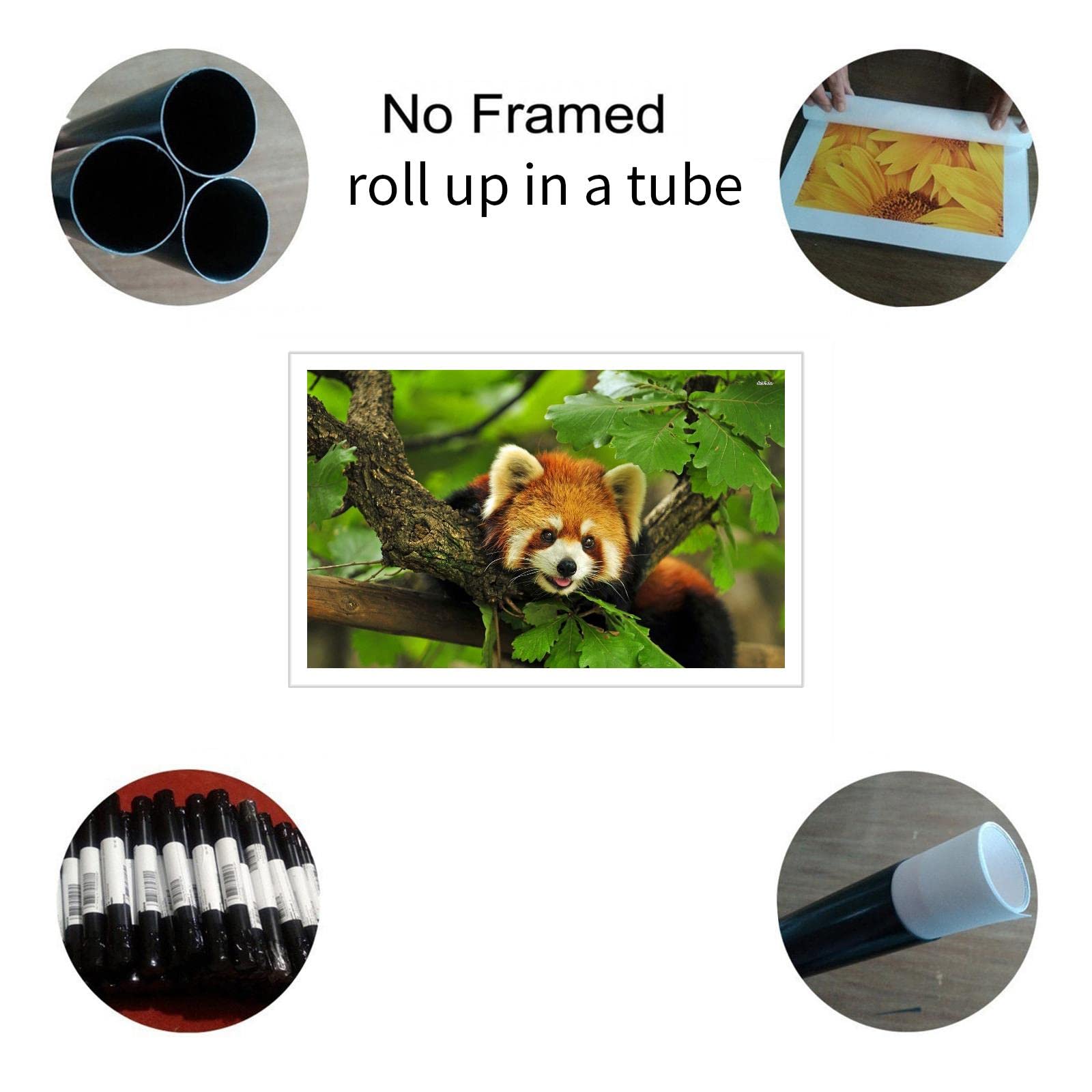 Ymqewq Red Panda Prints Wall Art Animal Canvas Pictures Photography Poster Print Kids Room Decor Unframed13 x8
